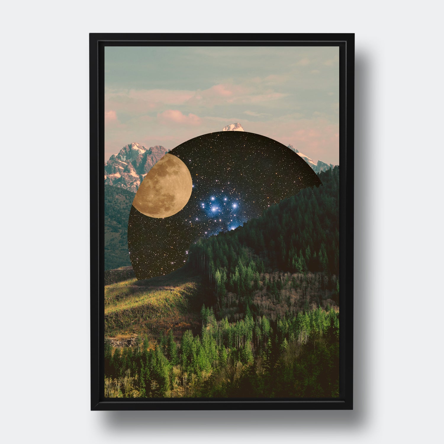Cosmic Forest