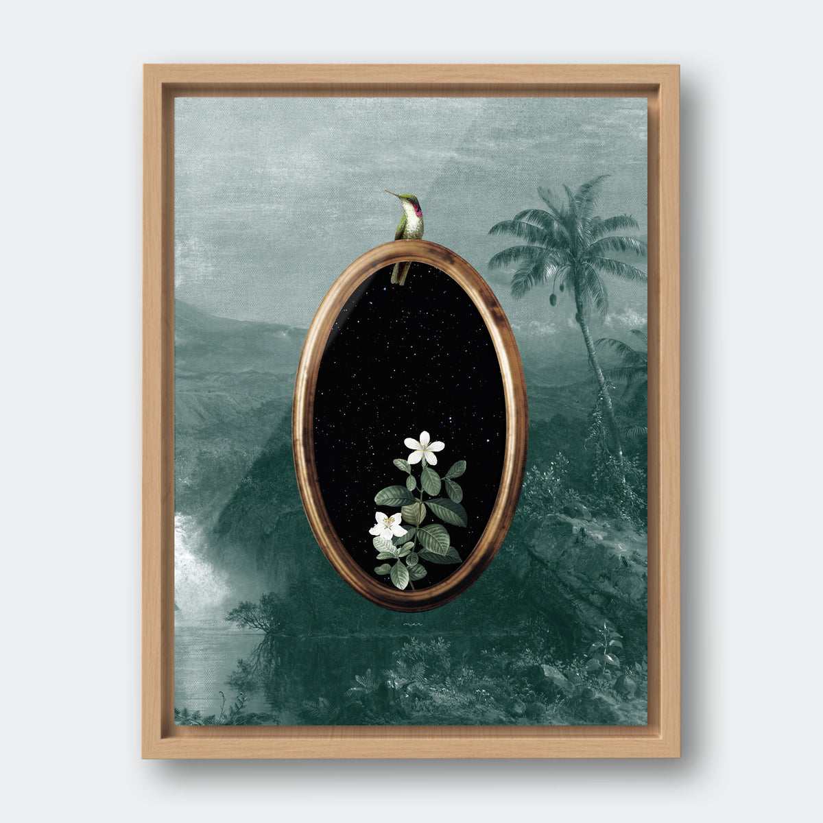 Humming Bird Portal