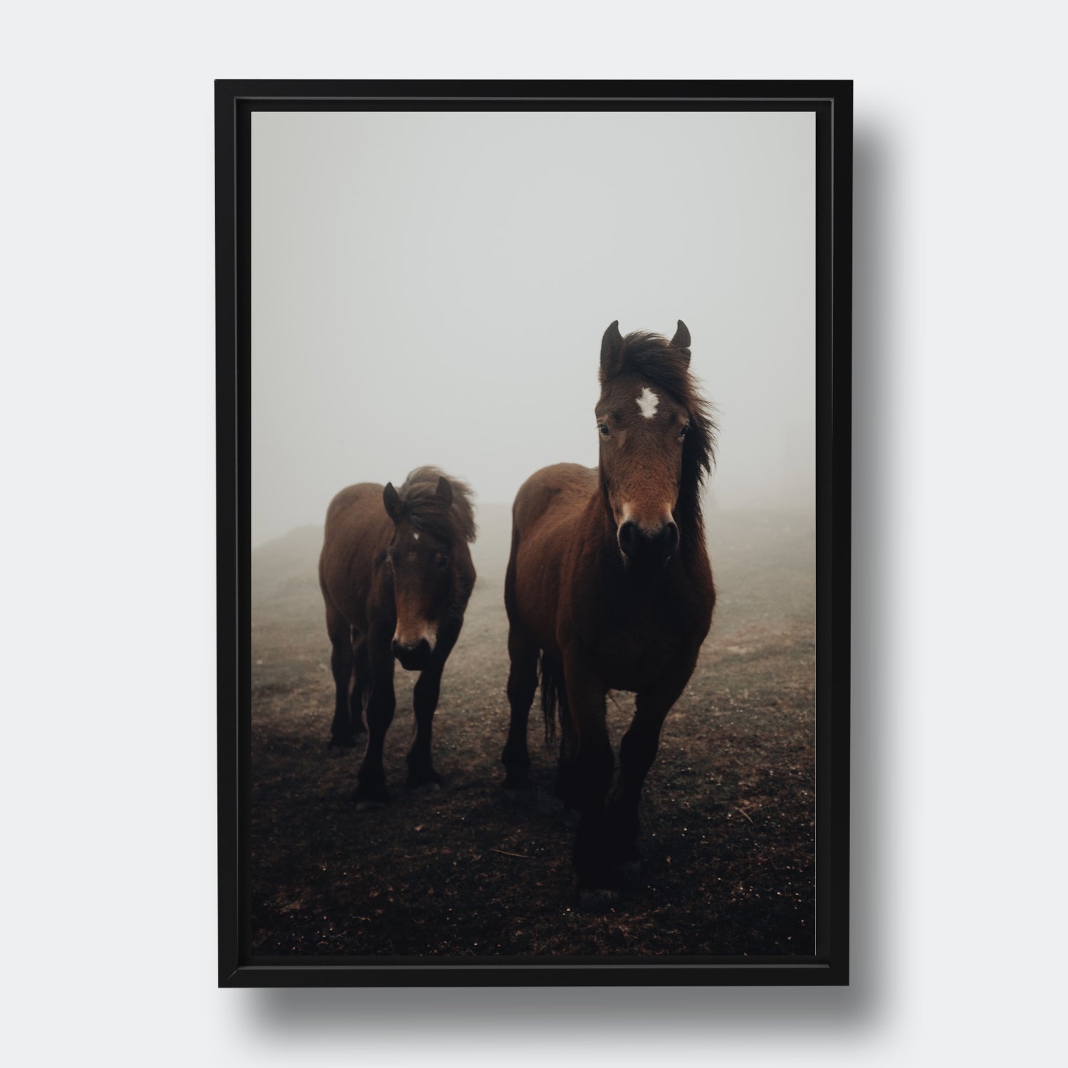 New Friends | Spain